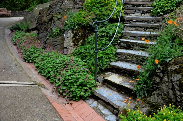 Professional Stone Step Rehabilitation | Stone Step Rehabilitation Pros